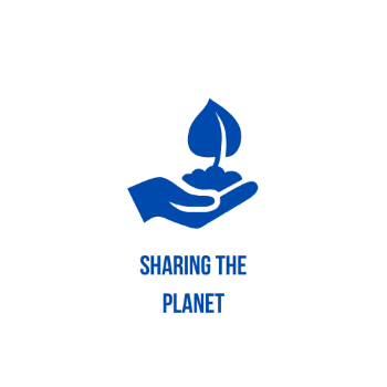 Primary Years Programme – apis.ac.th