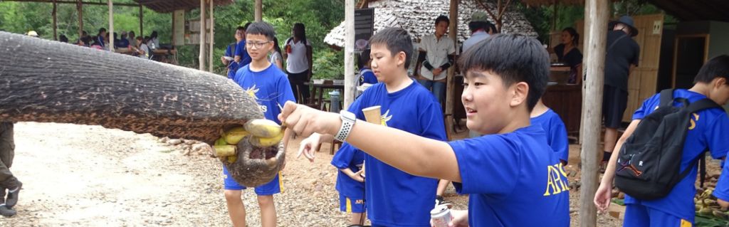 Primary Years Programme – apis.ac.th