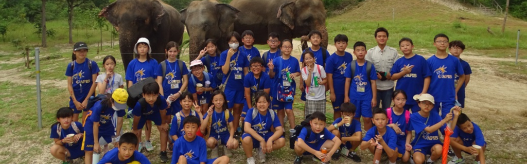 Primary Years Programme – apis.ac.th
